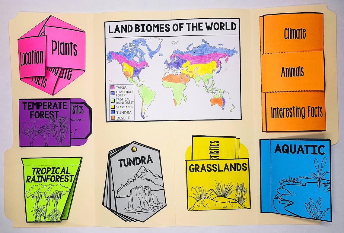 Biomes Lapbook Homeschool Biomes Reading Passages Biomes Maps - Etsy