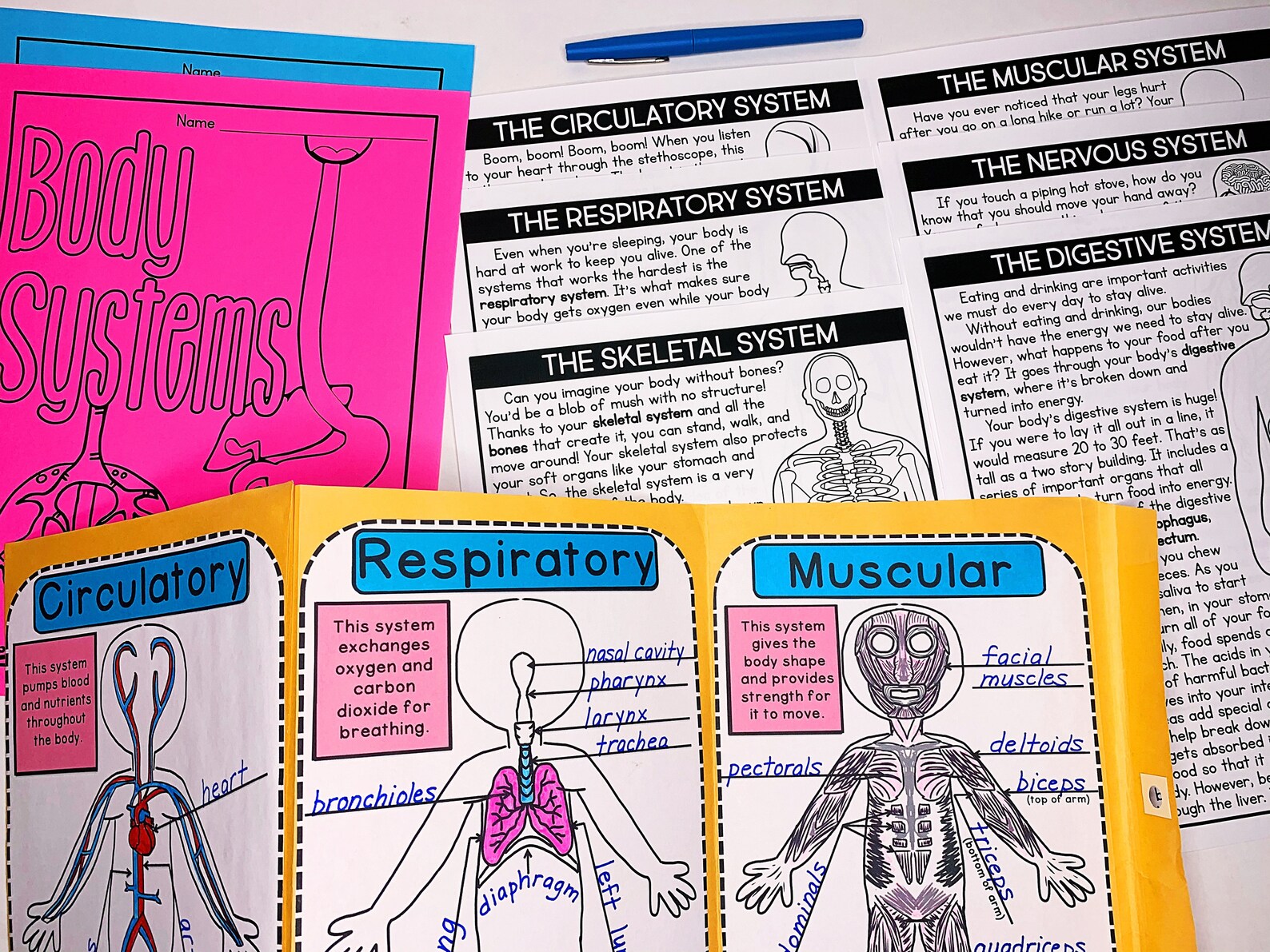 Human Body Unit Teach Human Body Systems Passages Body Systems Posters ...
