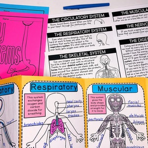 Human Body Unit Teach Human Body Systems Passages Body Systems Posters ...