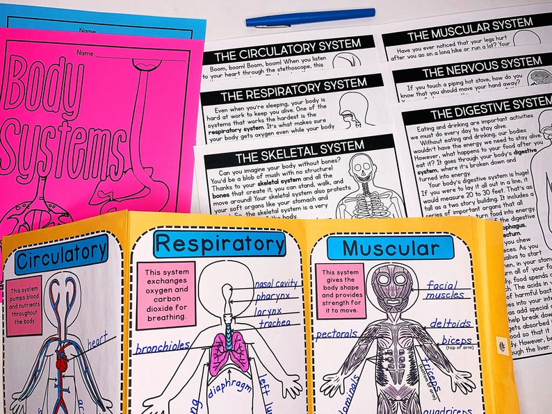 Human Body Unit Teach Human Body Systems Passages Body Systems Posters ...