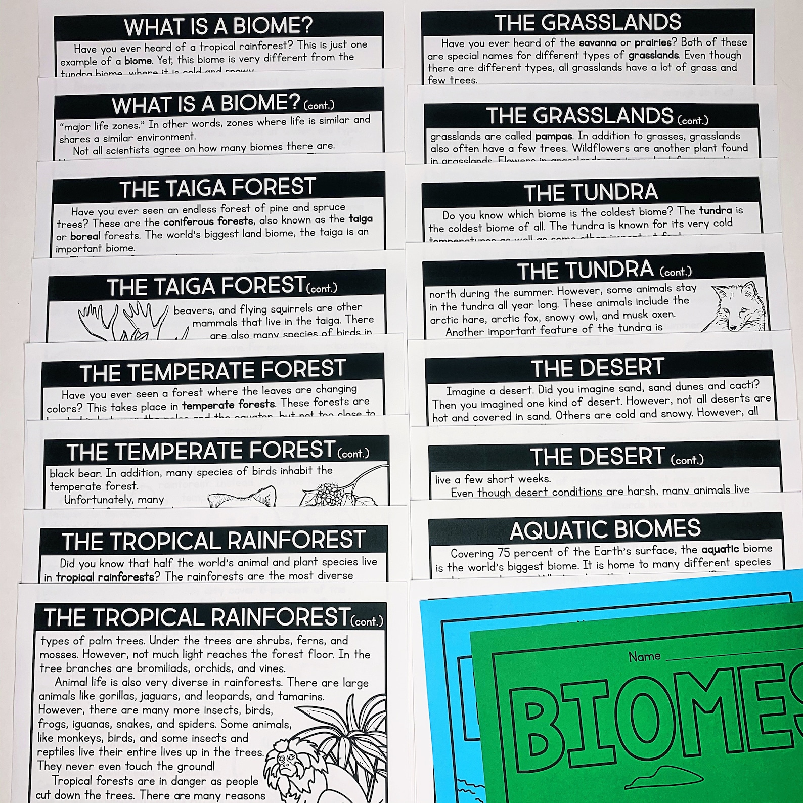 Biomes Lapbook Homeschool Biomes Reading Passages Biomes Maps ...