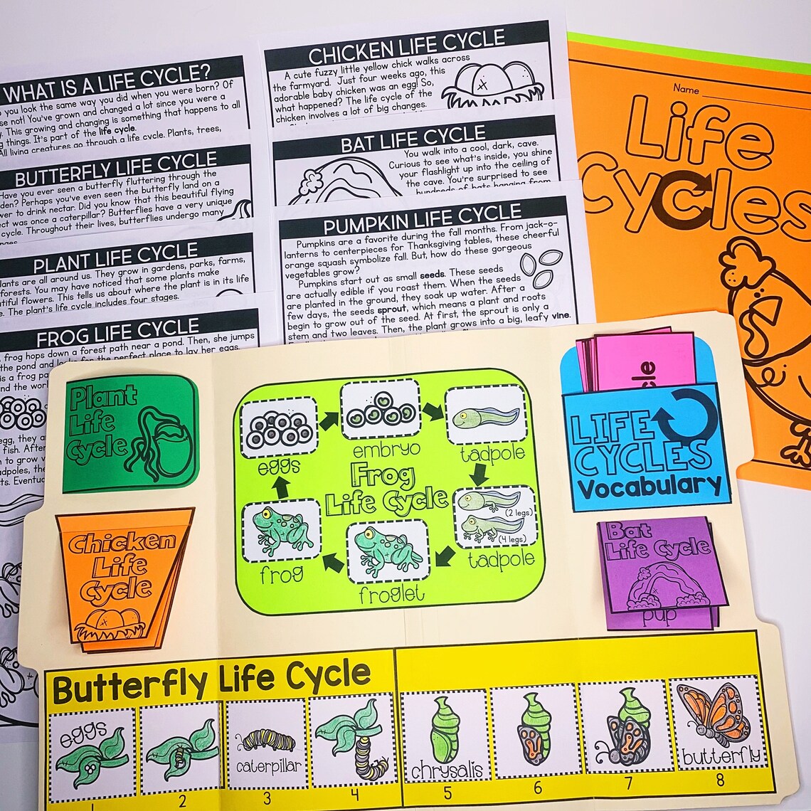Life Cycles Lapbook Teach Life Cycles Reading Passages Life Cycles ...