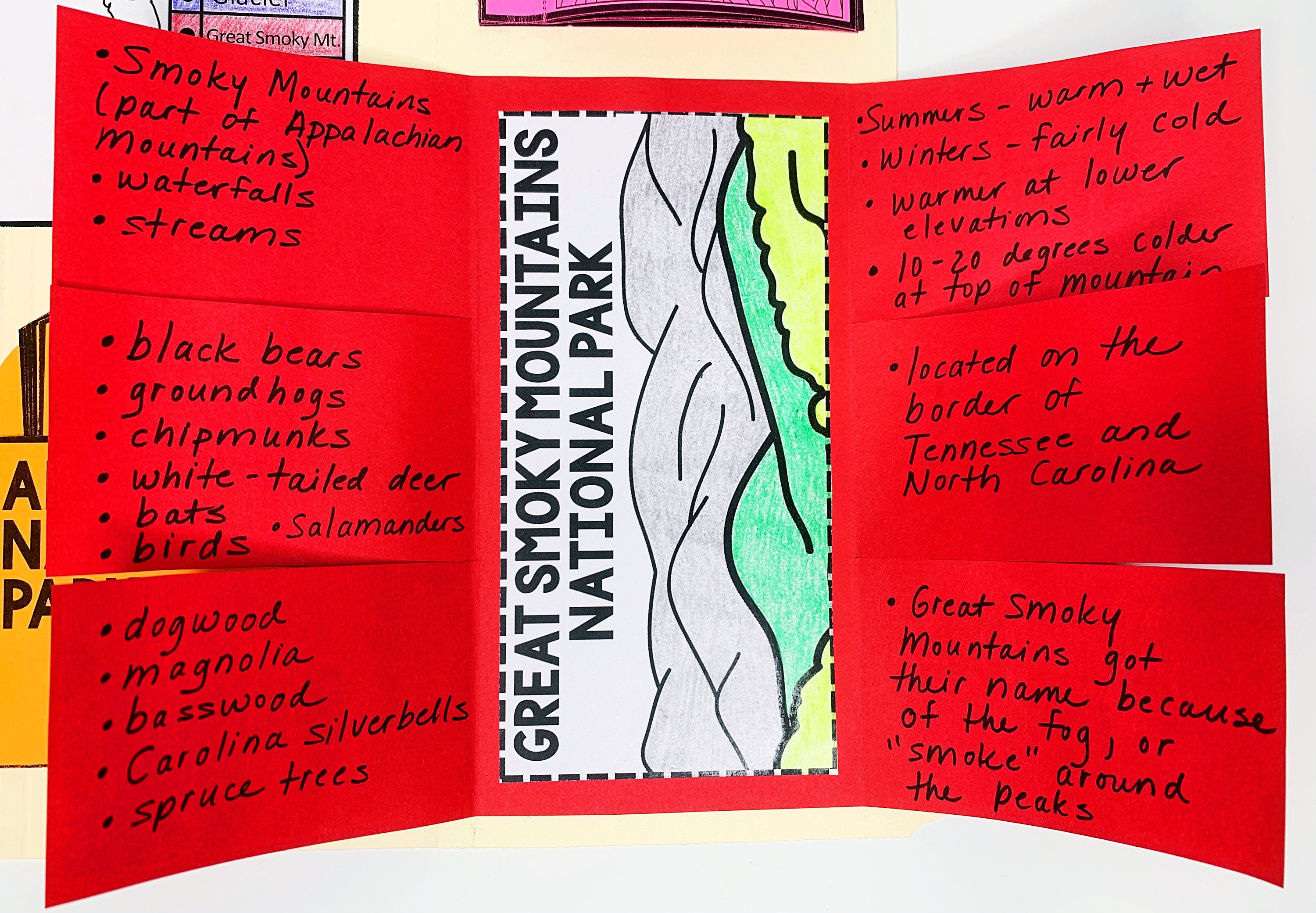 National Park Lapbook Teach National Parks Reading Passages - Etsy México