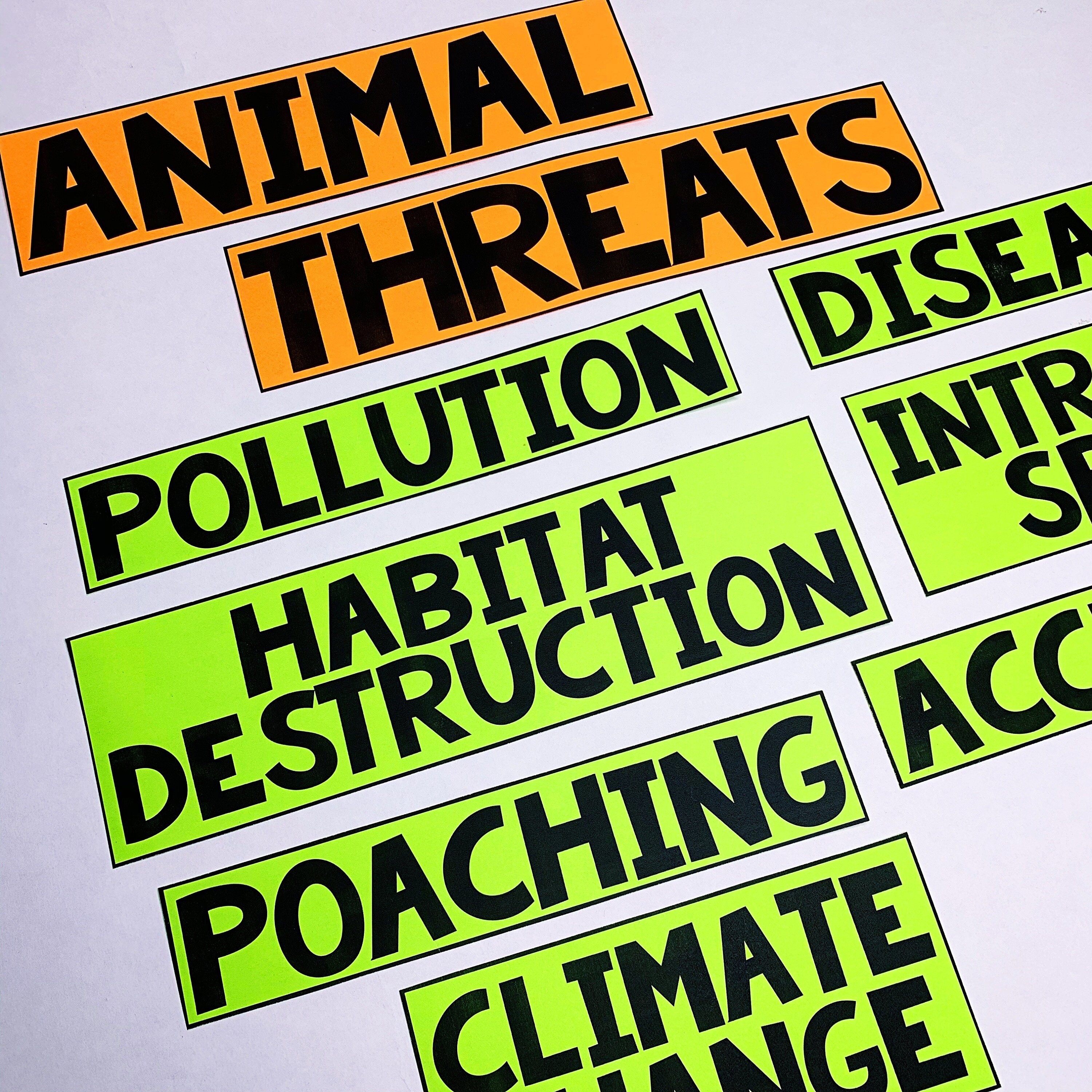 Endangered Animals Lapbook Teach Endangered Animals Reading Passages ...