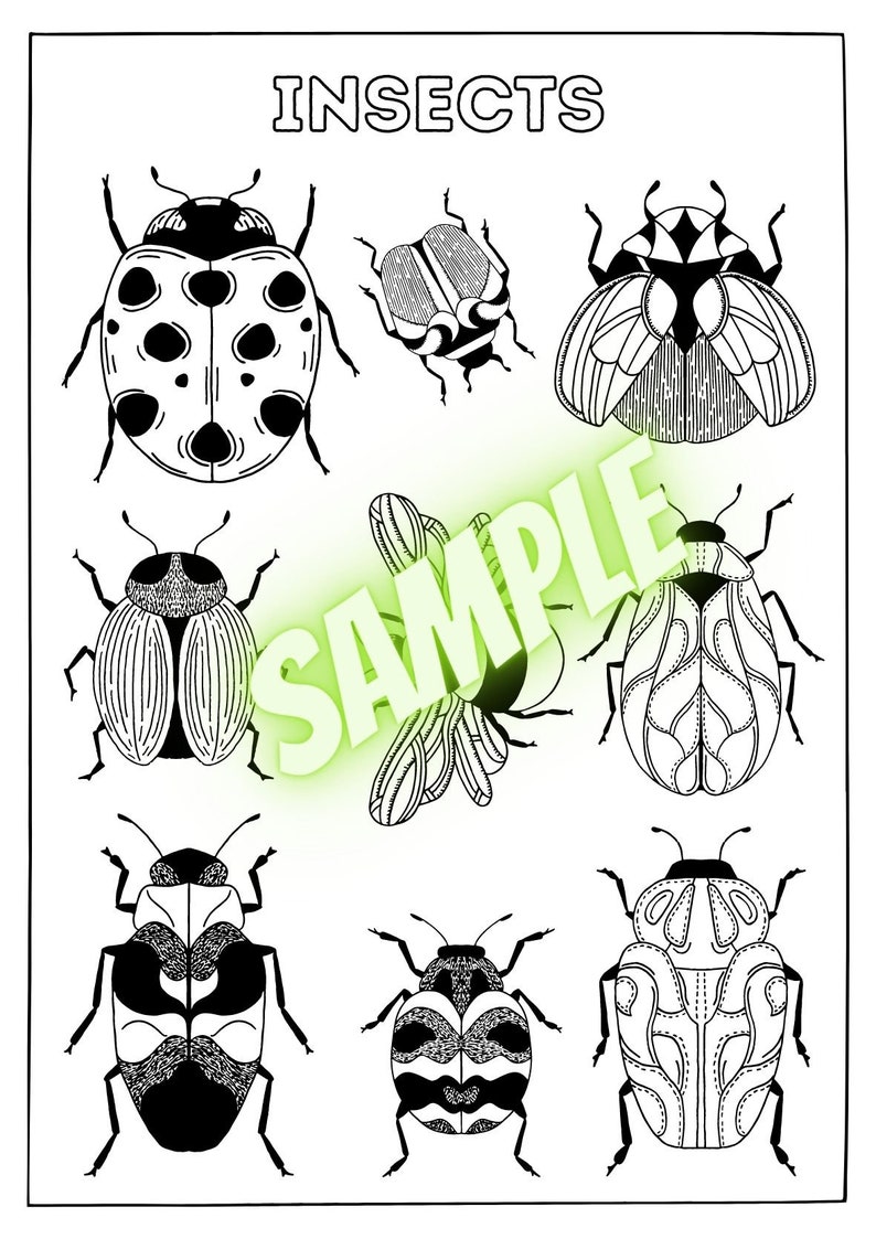 Adult Colouring Page Instant Download, Printable Coloring Page, Insects ...