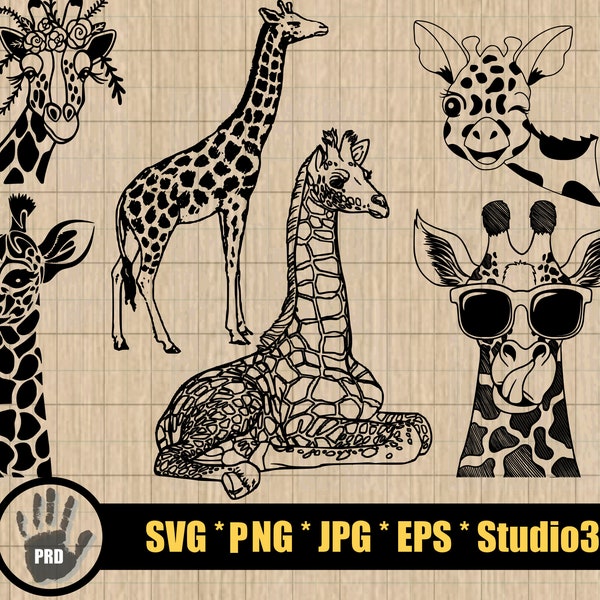 Cute Giraffe - Etsy