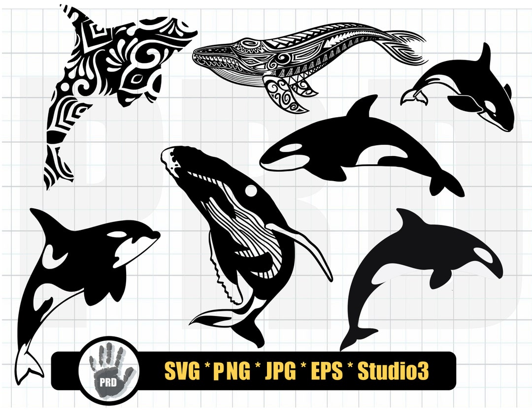 Whales Svg Design Bundle Orka Whale Svg Killer Whale Svg - Etsy