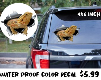 Vinyl Reptile Stickers - Etsy