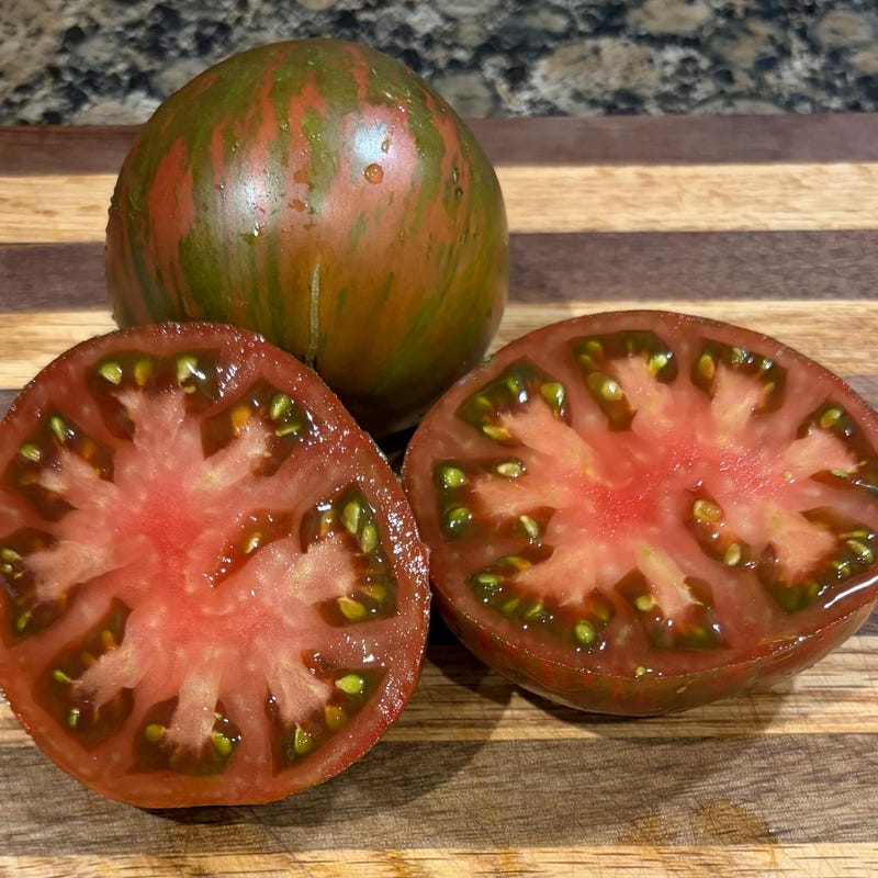 Bill Yoder Tomato Seeds - Etsy