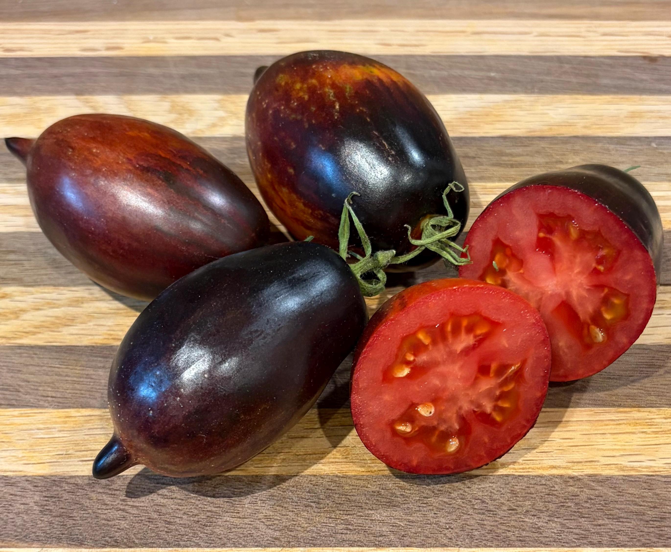 Shadow Boxing [dwarf] Seeds - Etsy