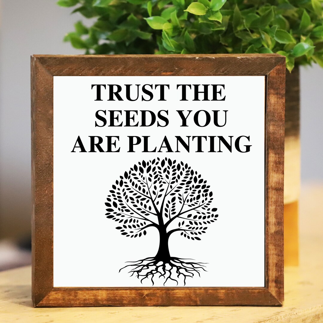 Trust the Seeds You Are Planting, Wooden Sign With Motivational Saying ...