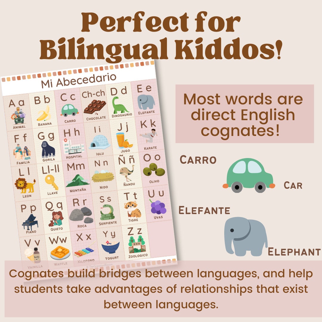 Bilingual Alphabet Poster and Flashcards, Spanish and English Cognate ...