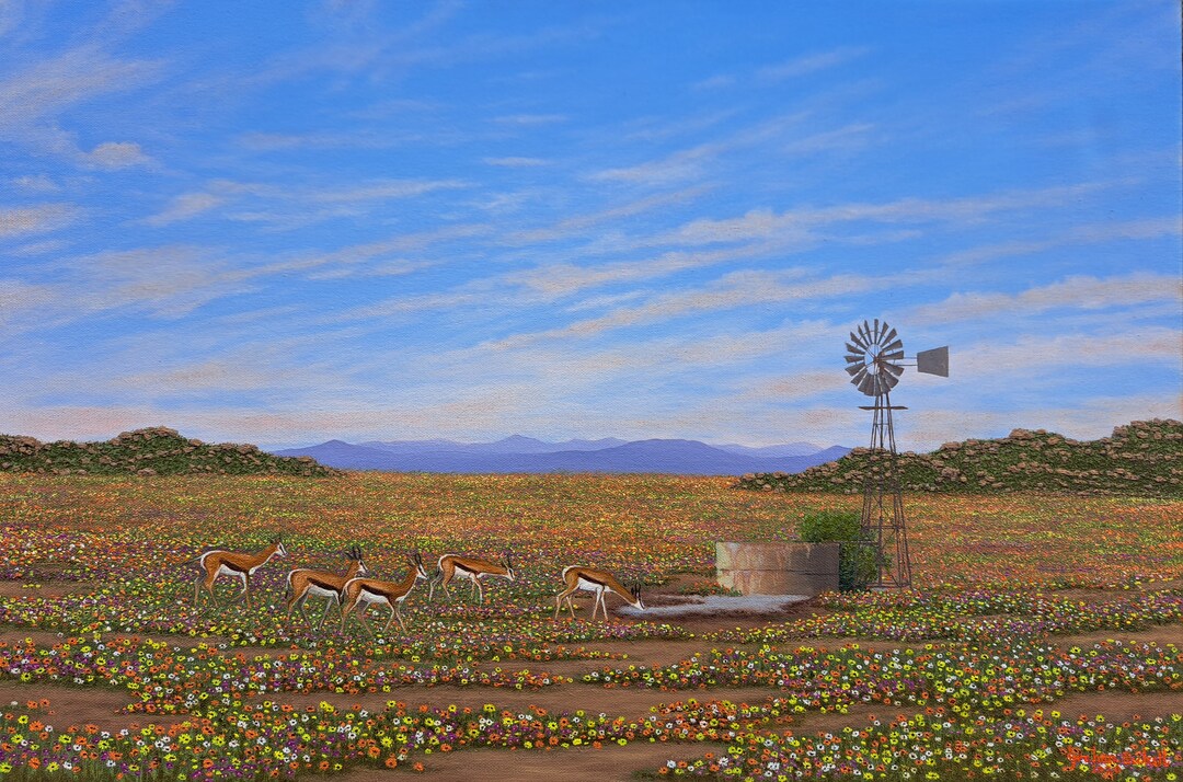Springboks in Namaqualand - Etsy