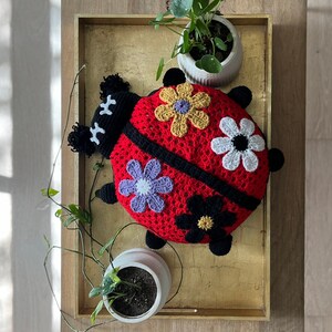 Crochet Ladybug Throw Pillow Pattern - Etsy
