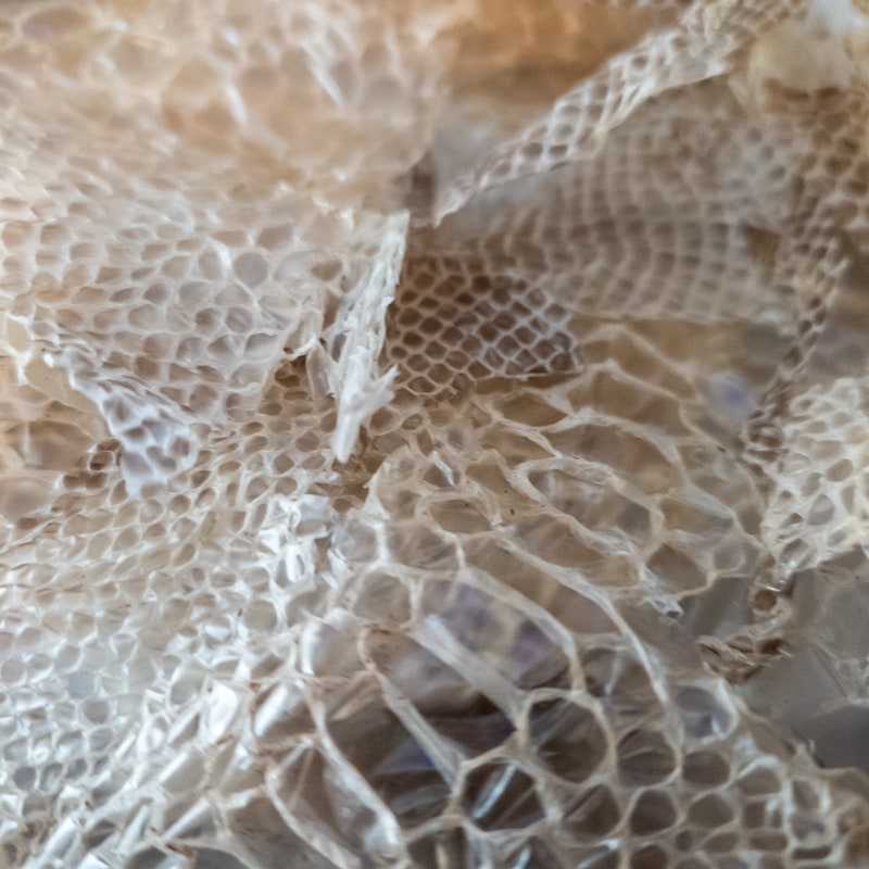 Snake Shed Jewelry - Etsy