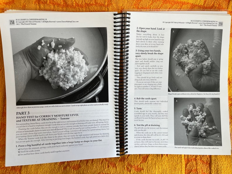 SUCCESSFUL CHEESEMAKING ® Book, by Merryl Winstein. Make Best Artisan ...