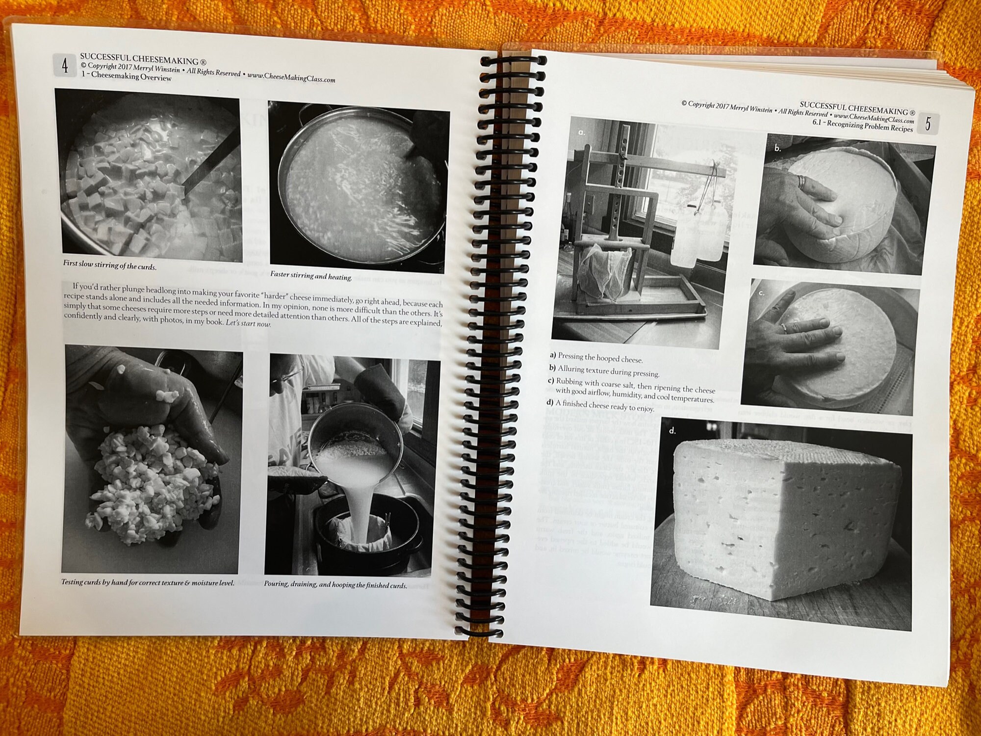 SUCCESSFUL CHEESEMAKING ® Book, by Merryl Winstein. Make Best Artisan ...