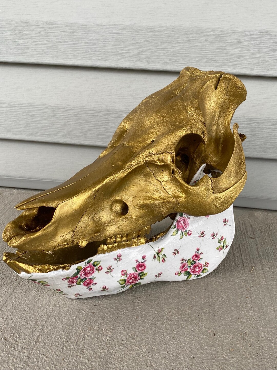 Real Pig Skull Painted Skull - Etsy