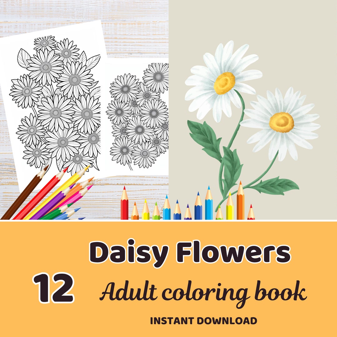 Daisy Coloring Page Flower Coloring Page for Adults - Etsy