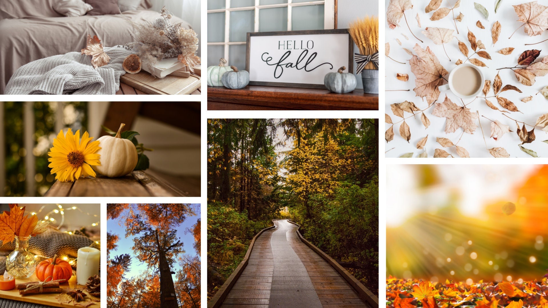 Fall Desktop Wallpaper PC - Etsy