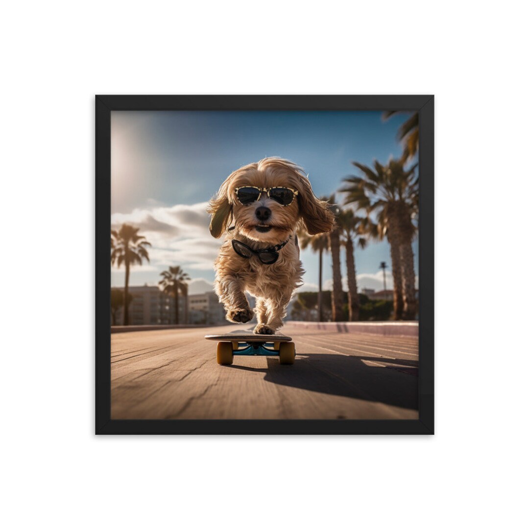 Cockapoo Dog in Sunglasses on a Skateboard - Etsy