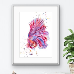 Betta Fish Watercolor Painting Art Print. Kids Room Decor. Ocean ...
