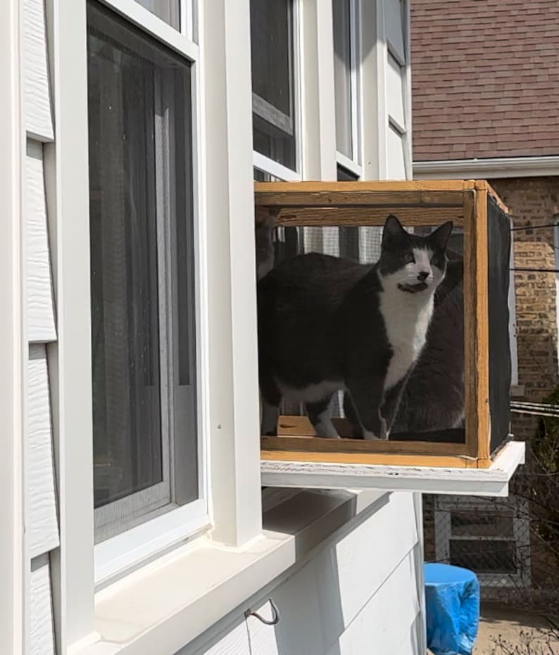 Catio DIY Digital Plan - Window Box for Cats - Etsy