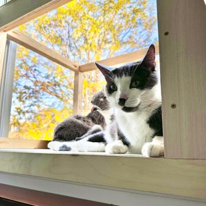 Catio - Fully Built Custom Window Viewing Box Patio for Cats - Etsy