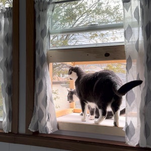Catio DIY Digital Plan - Window Box for Cats - Etsy