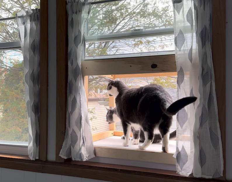Catio DIY Digital Plan - Window Box for Cats - Etsy