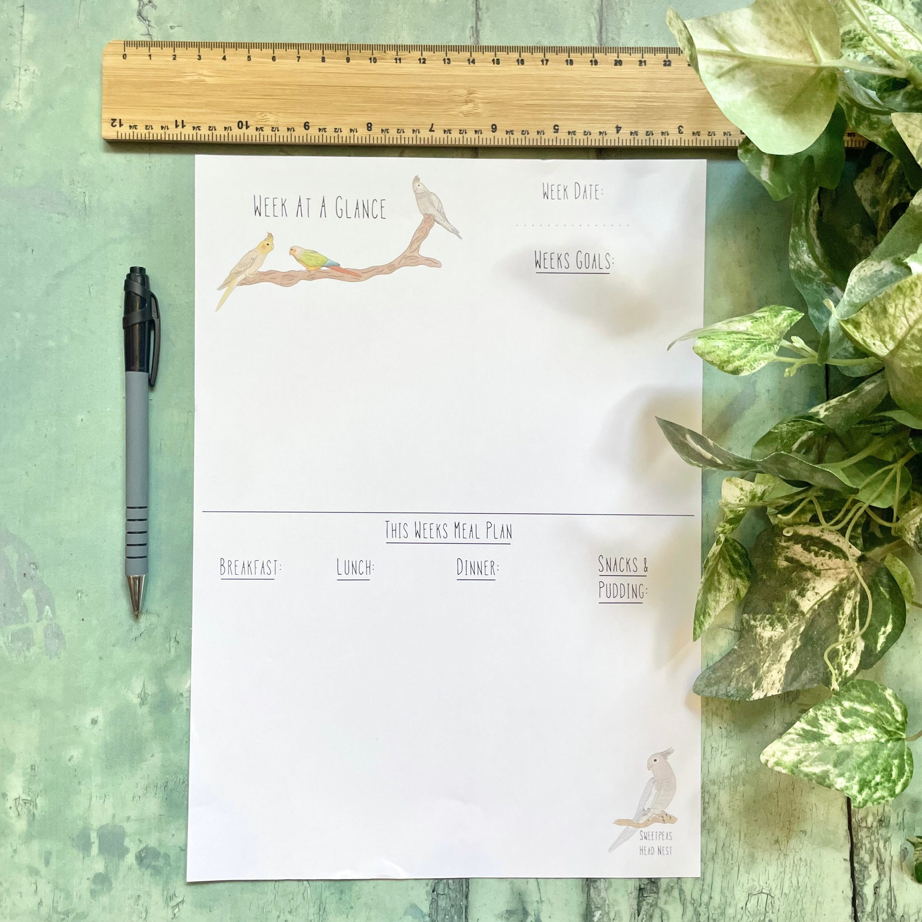 Printable Downloadable Simple Planner, Plan Your Month, Weeks and Days ...