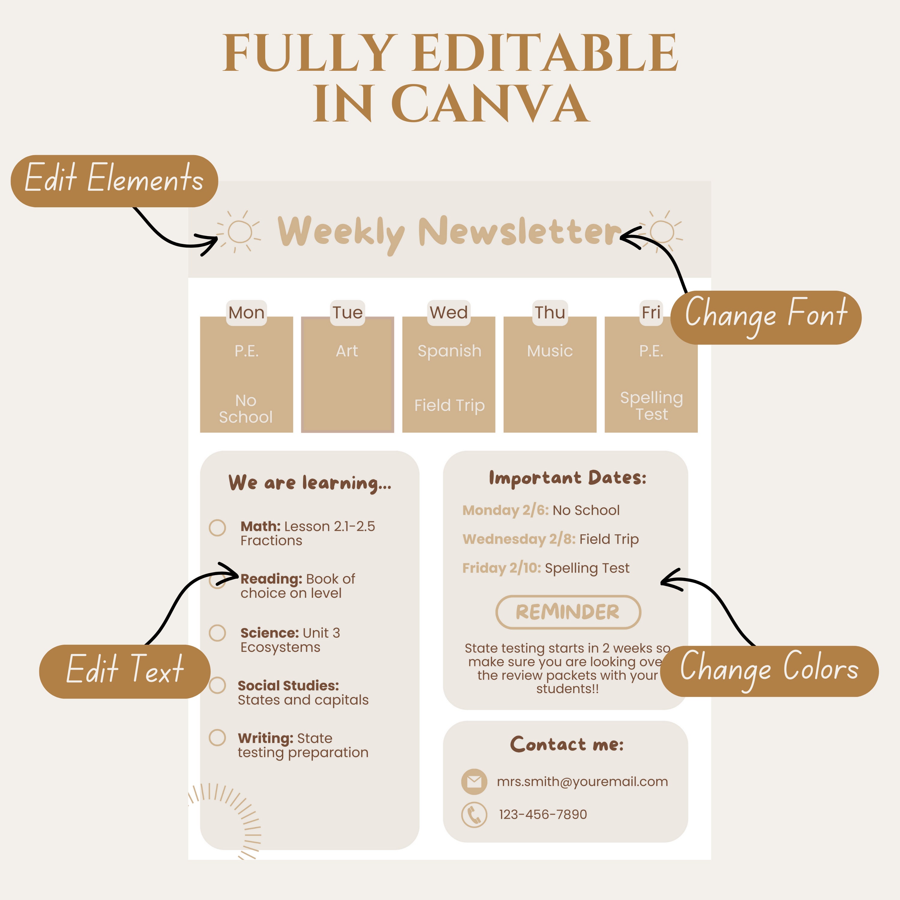 Class Newsletter Editable Template | Teacher Weekly Newsletter | This ...
