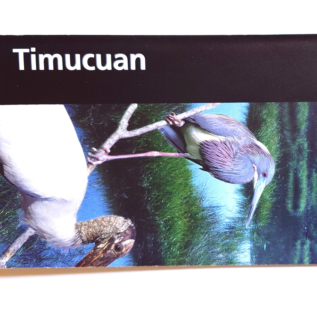 Official Guide Timucuan Ecological and Historic Preserve NPS Map ...