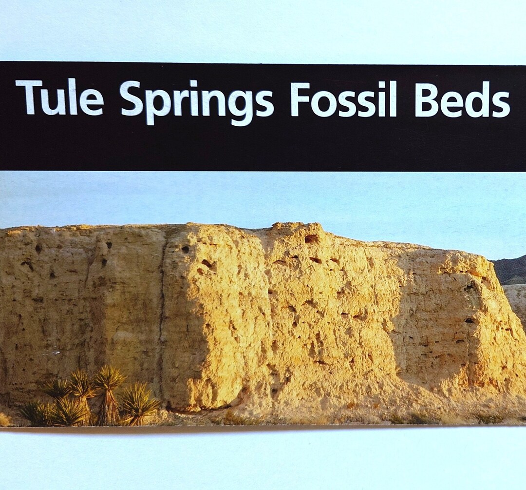 Official NPS Map Tule Springs Fossil Beds National Monument Brochure ...