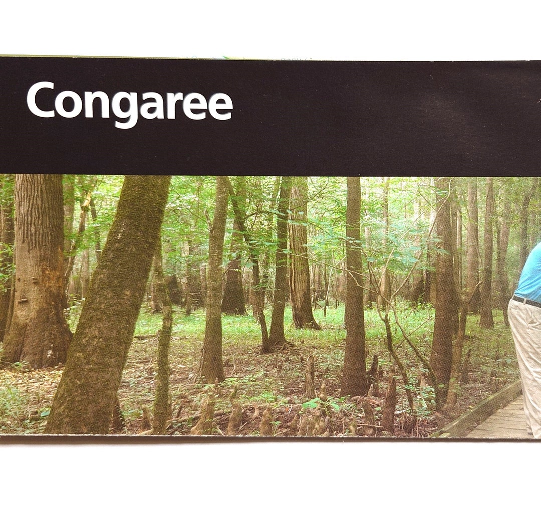 Official Guide Congaree National Park NPS Map Brochure National Parks ...
