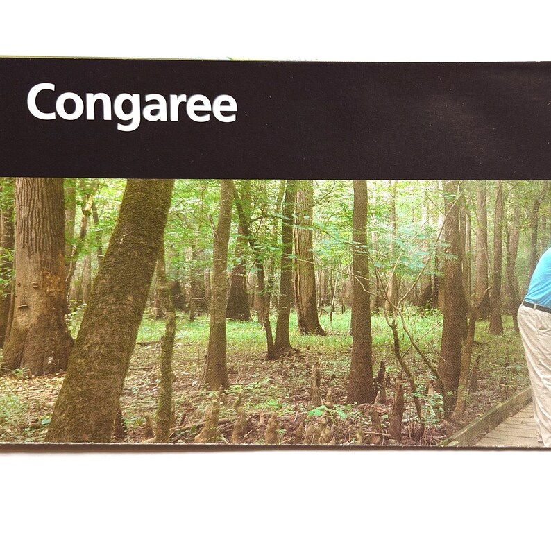 Official Guide Congaree National Park NPS Map Brochure National Parks ...
