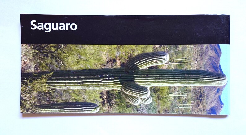 Official Guide Saguaro National Park NPS Map Brochure National Parks ...
