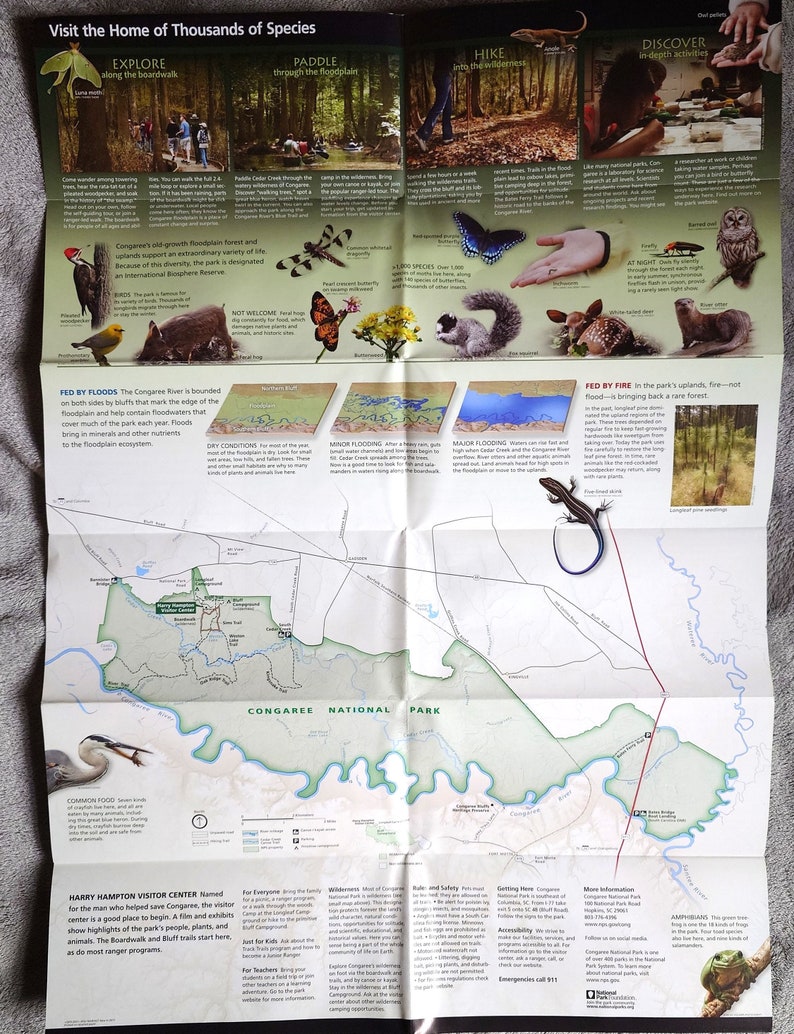 Official Guide Congaree National Park NPS Map Brochure National Parks ...