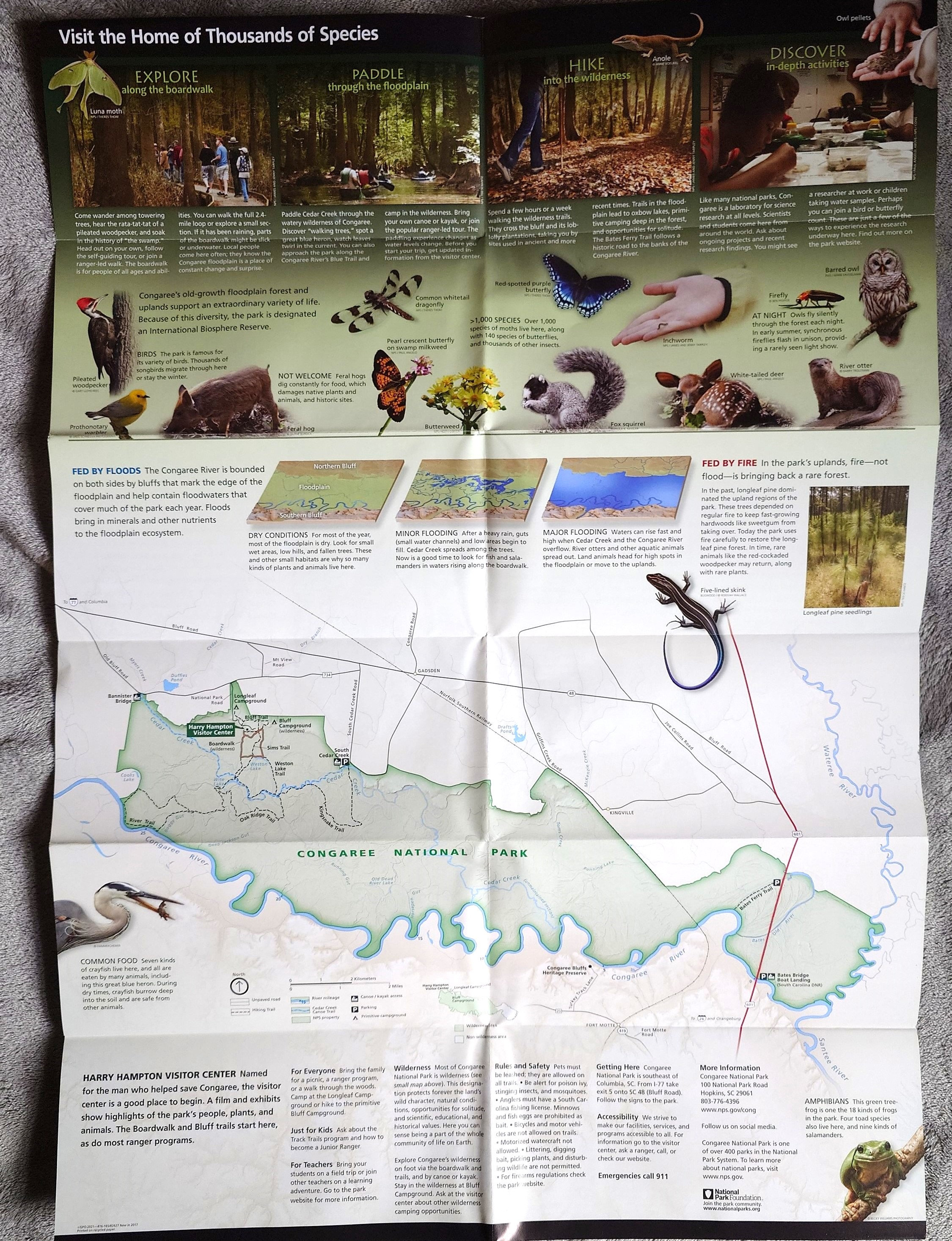 Official Guide Congaree National Park NPS Map Brochure National Parks ...