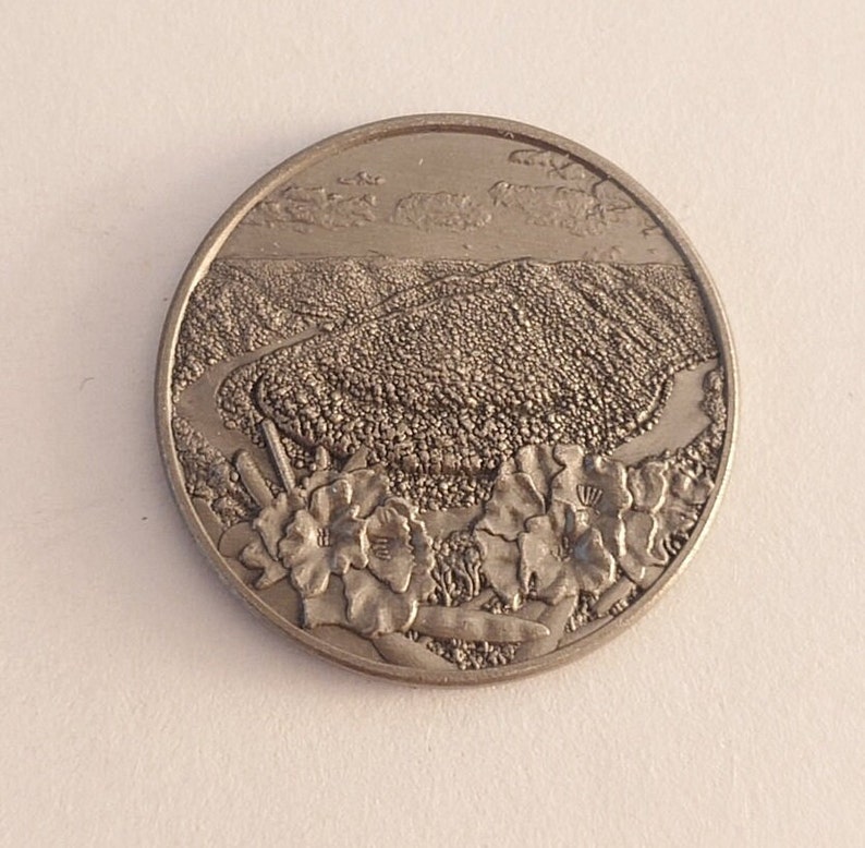 Official NPS Token New River Gorge National Park Collectible Coin ...