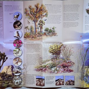 Joshua Tree National Park Official NPS Guide Map Brochure National ...