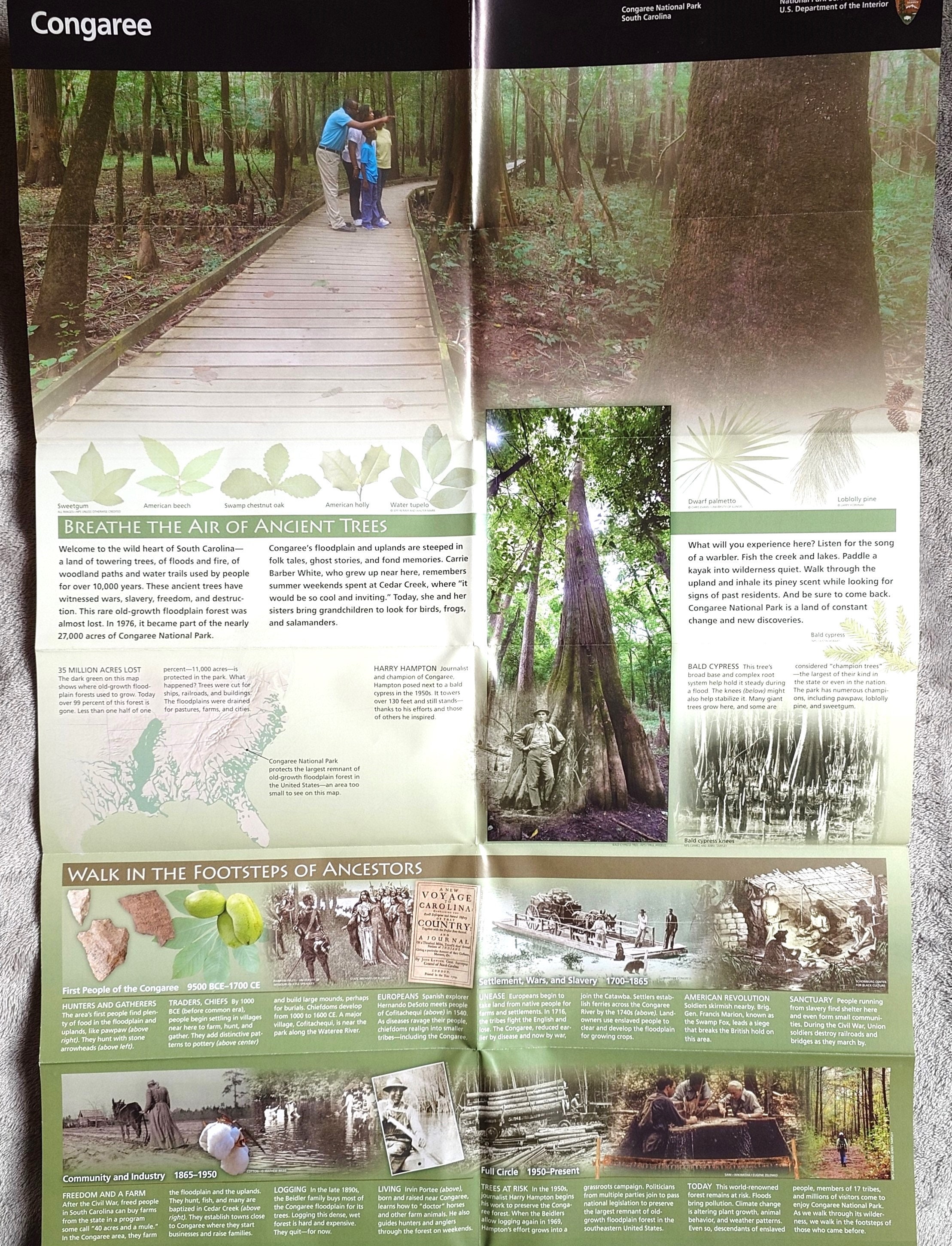 Official Guide Congaree National Park NPS Map Brochure National Parks ...