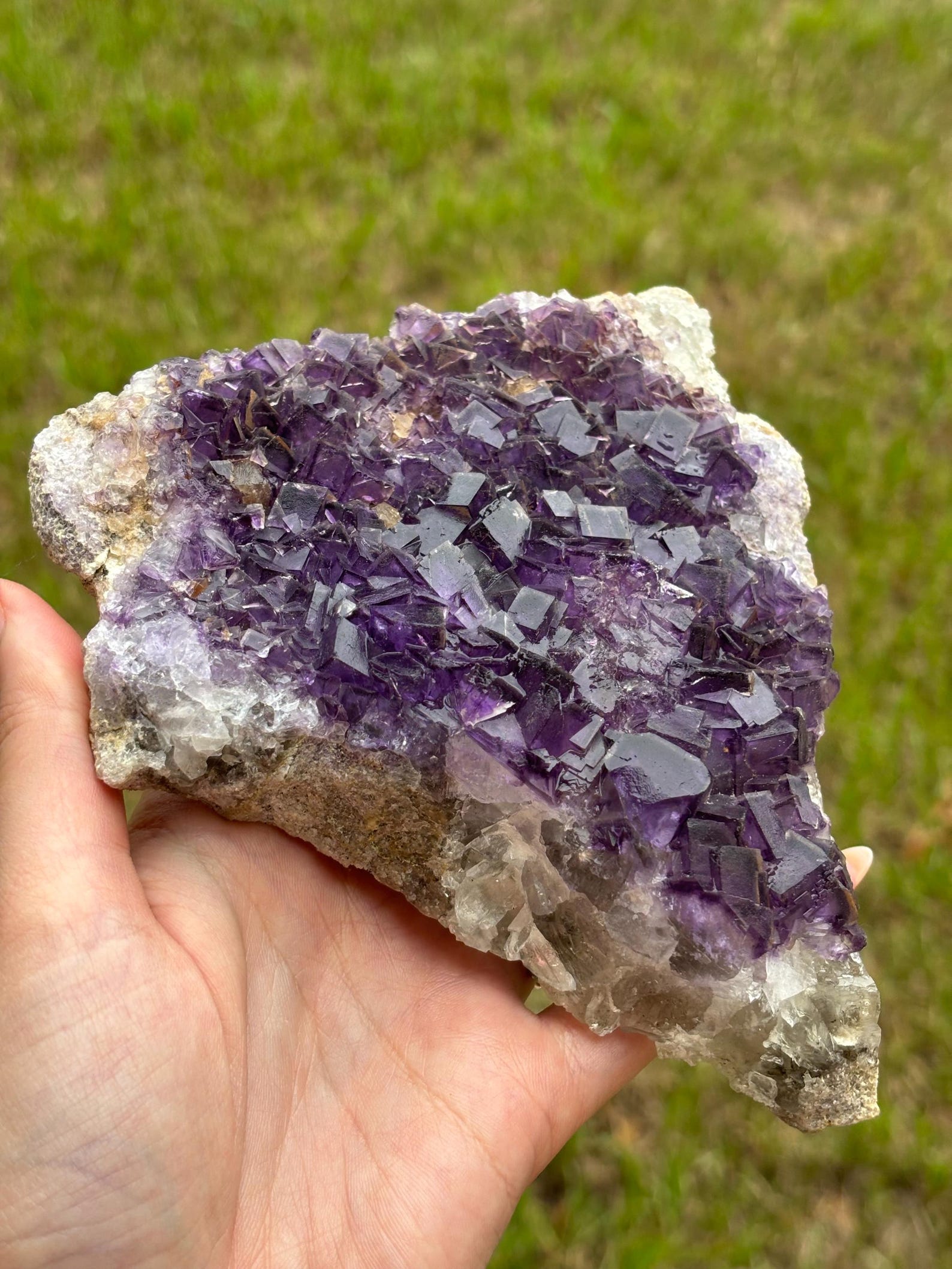 Matrix CUBIC Fluorite Dark Purple Crystal Natural Mineral From Mexico ...