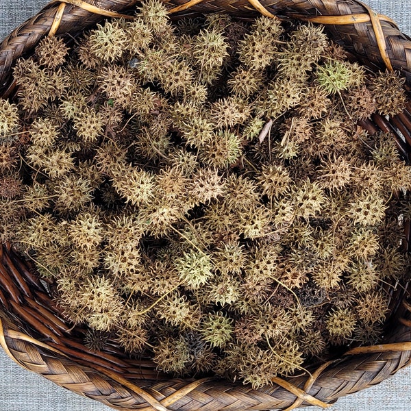 Sweet Gum Ball Crafts - Etsy