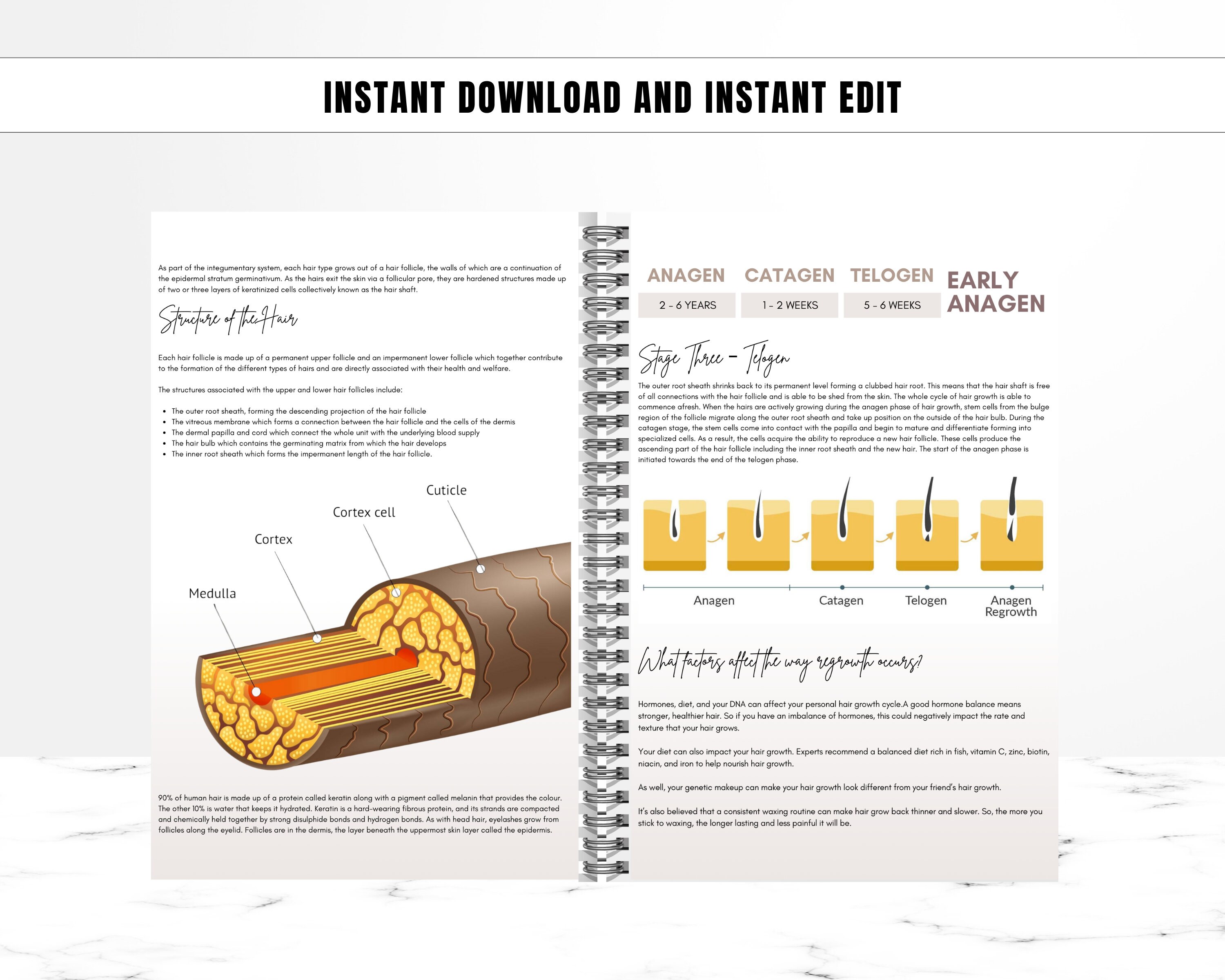 Eyebrow Threading Training Manual, Tutorial, Brow Threading Course ...