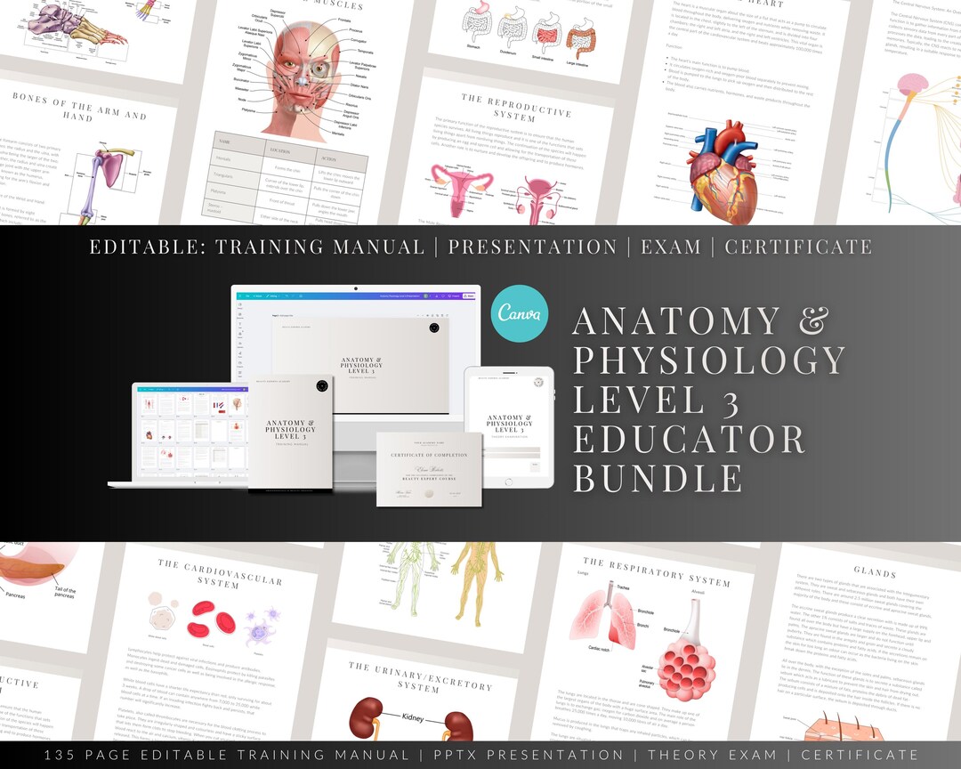 Anatomy Physiology Level 3 Training Bundle: Beauty Academy Trainer ...