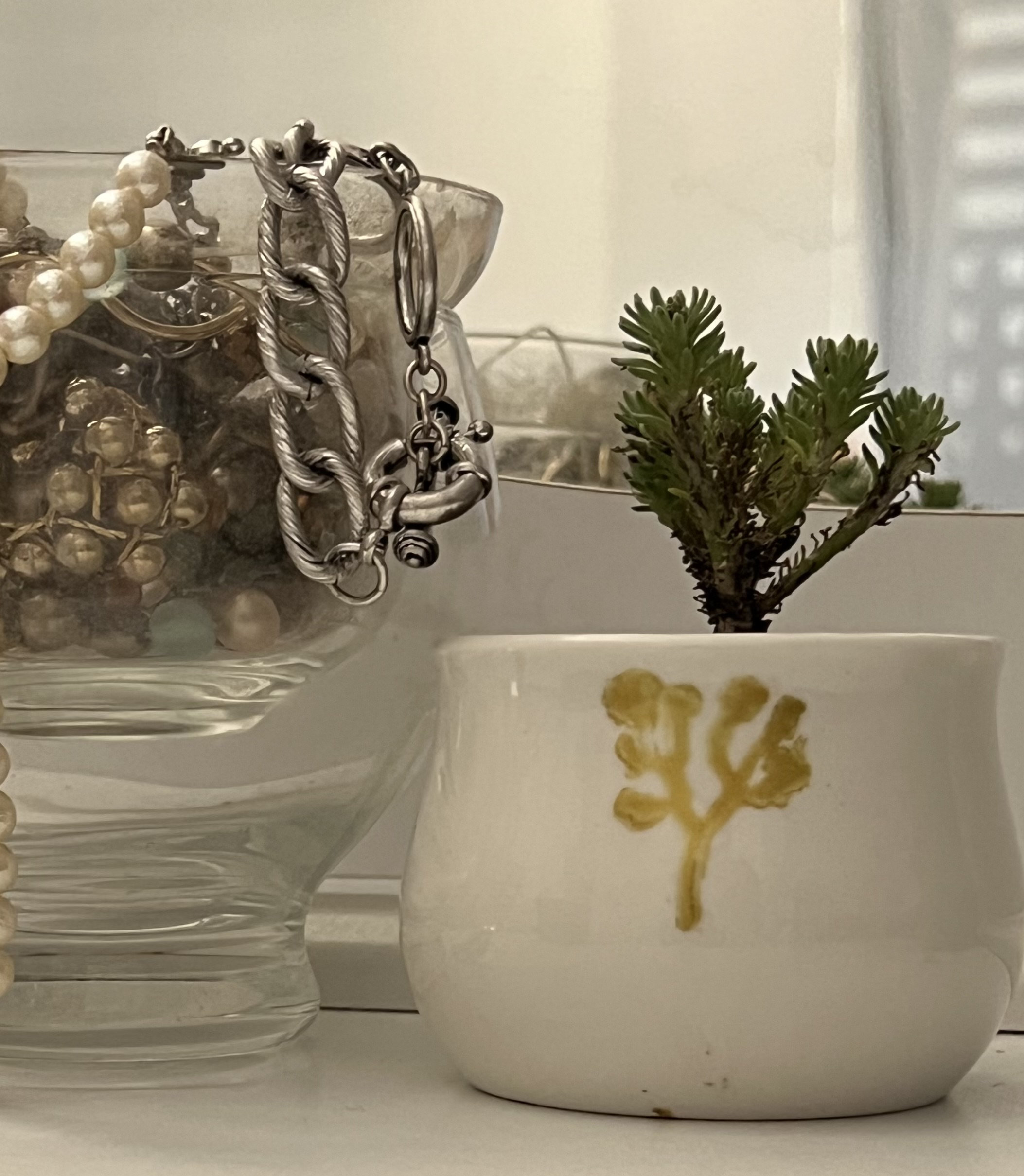 Mini Joshua Tree Multiple Sizes - Etsy