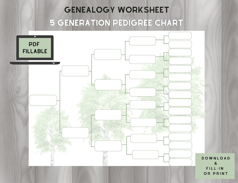 Pedigree Chart 5 Generations on One Page FILLABLE PDF - Etsy