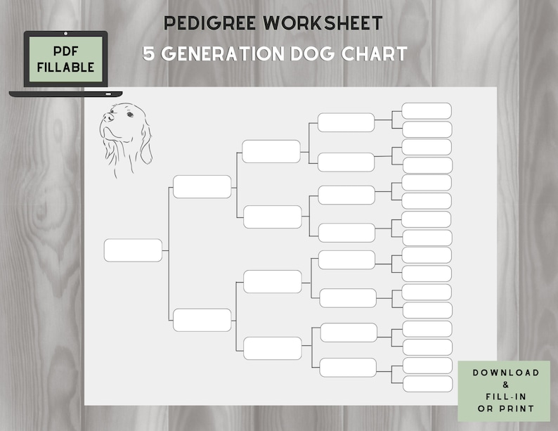 Dog Pedigree Chart 5 Generations on One Page Fillable PDF - Etsy