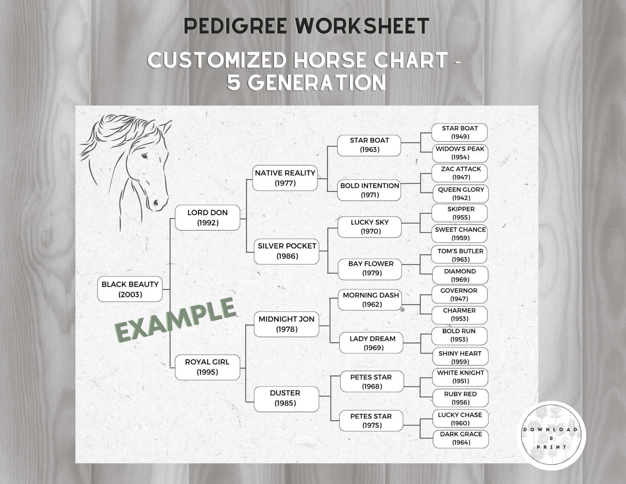 Customized Horse Pedigree Chart 5 Generations 1 Page - Etsy